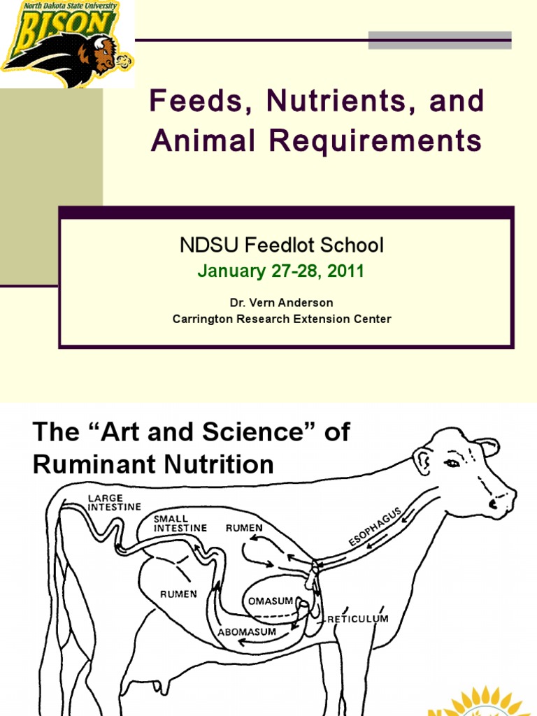 Feeds, Nutrients, and Animal Requirements: NDSU Feedlot School | PDF ...