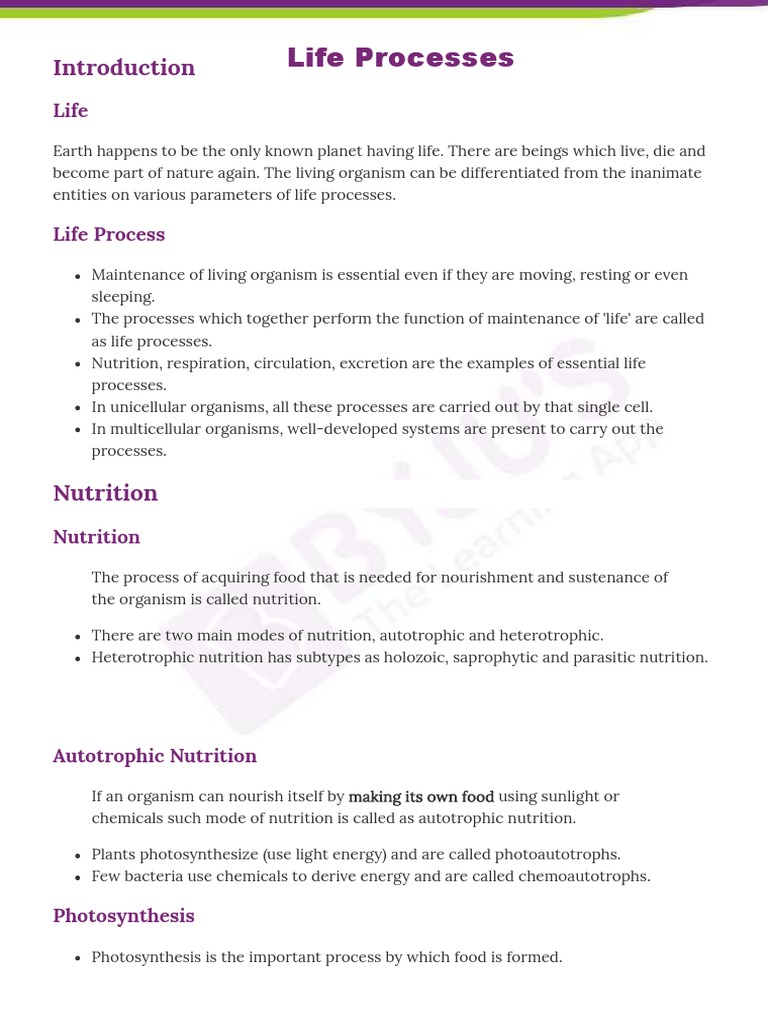 Life Processes Class 10 Notes | PDF | Respiratory System | Human ...