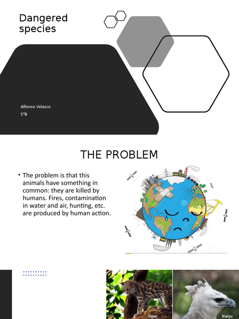 Alfonso Velasco Technology | PDF