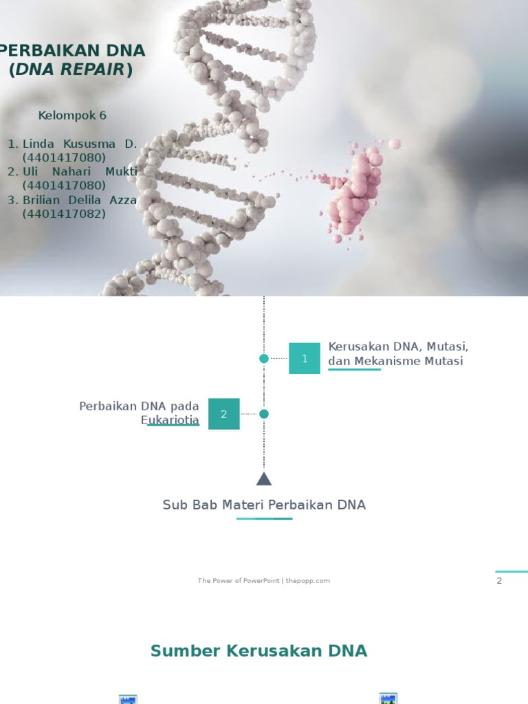 MUTASI Dan REPAIR DNA | PDF | Sains & Matematika