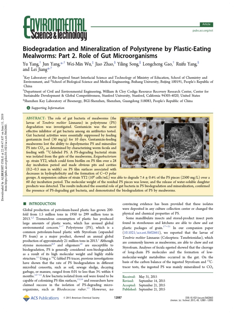 Biodegradation and Mineralization of Polystyrene by Plastic-Eating ...