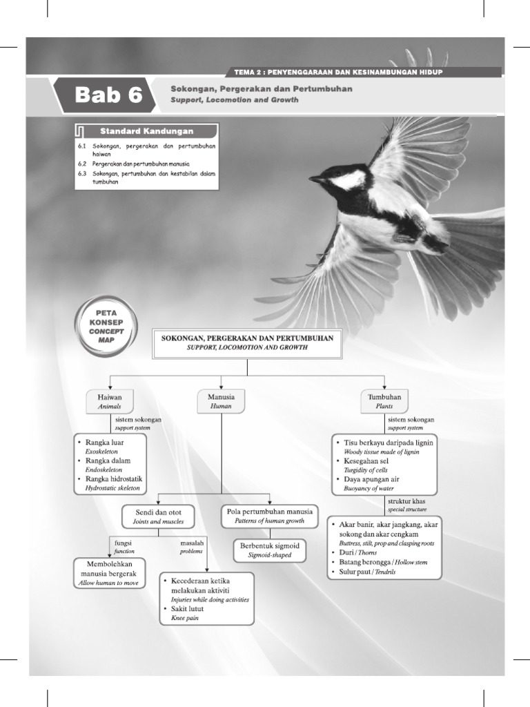 08 Bab 6 Pola Pertumbuhan Anak Benih Kacang Hijau | PDF