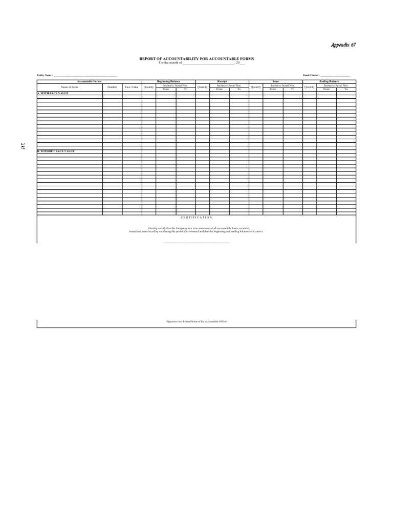 Report of Accountability For Accountable Forms: Appendix 67 | PDF ...