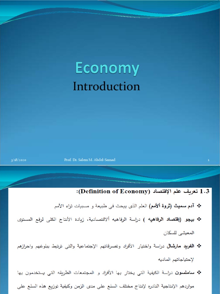 Economy - Lec7-8 | PDF