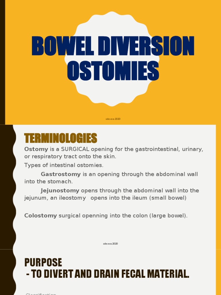 Understanding Bowel Diversion Ostomies | PDF | Gastrointestinal Tract ...