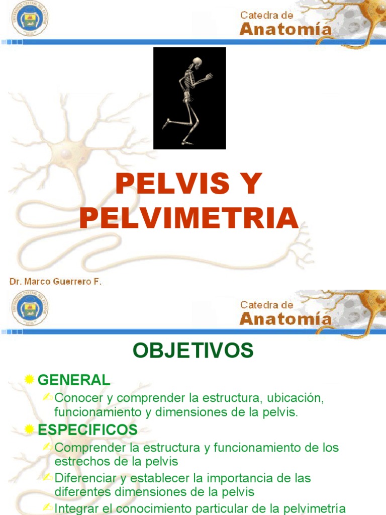 PELVIMETRIA EXTERNA v1 | PDF | Pelvis | Sistema esquelético