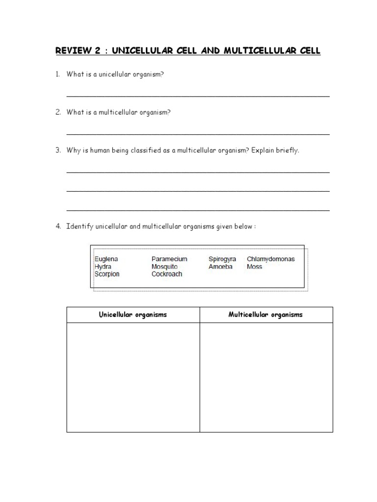 Unicellular Cell and Multicellular Cell | PDF