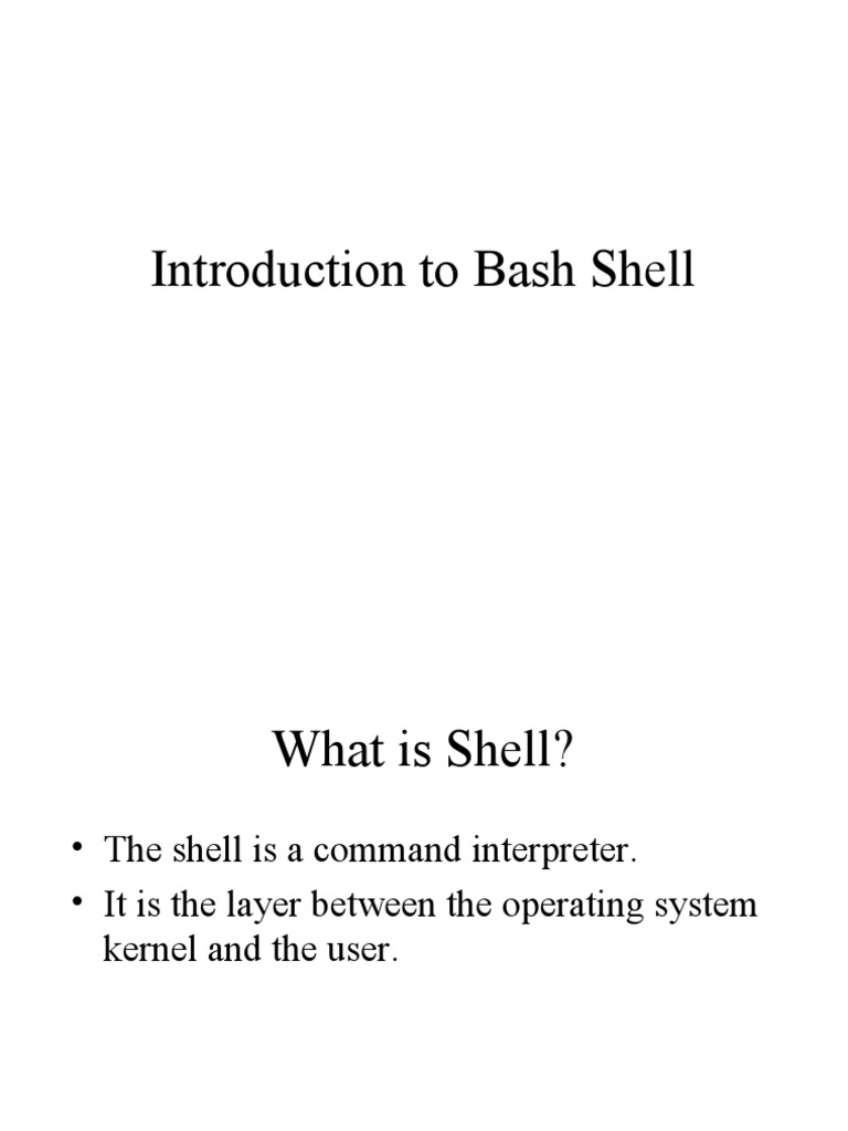 Introduction To Bash Shell | PDF | Parameter (Computer Programming) | Computer Architecture