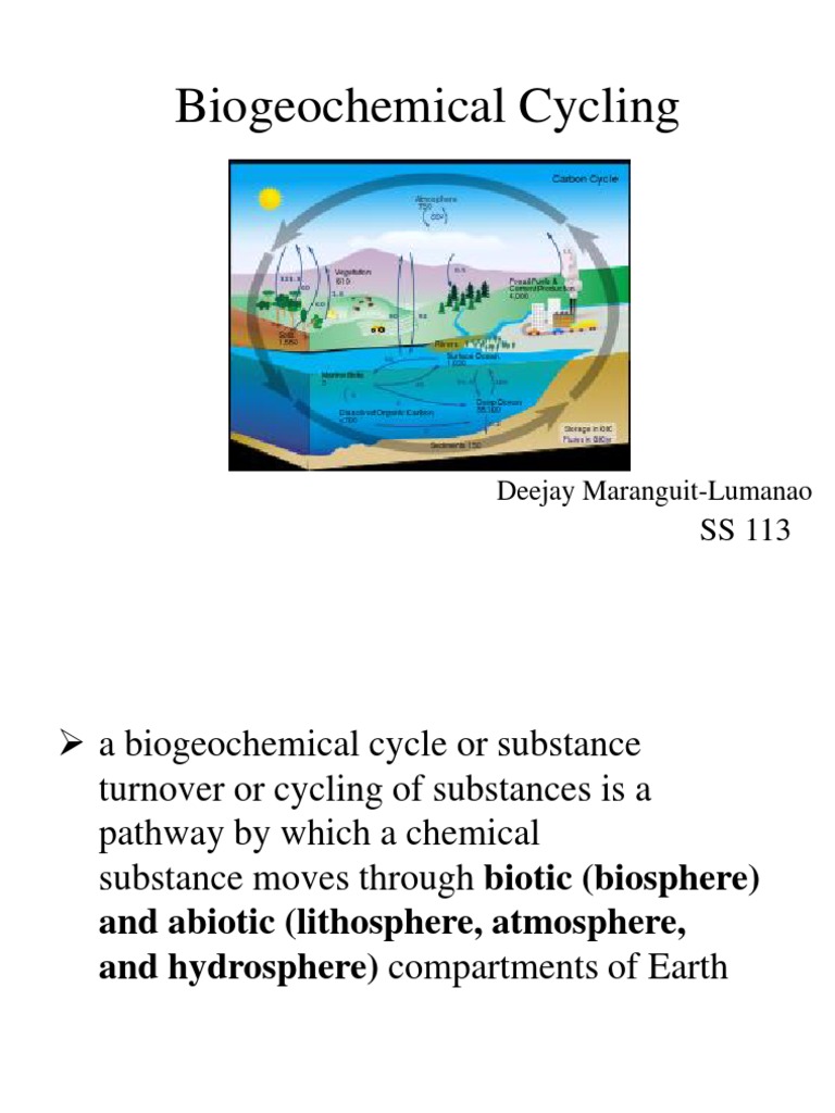 Understanding Biogeochemical Cycles and Soil Organic Matter Dynamics | PDF | Soil | Decomposition