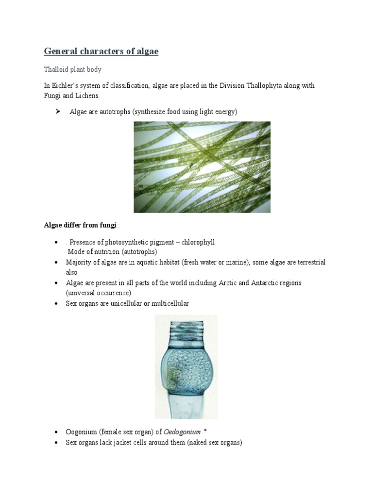 General Characters of Algae: Thalloid Plant Body | PDF | Algae | Eukaryotes
