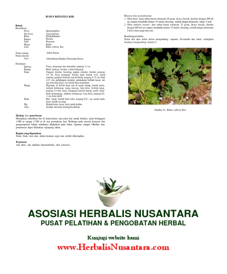 Rubus Reflexus: Manfaat dan Klasifikasi | PDF