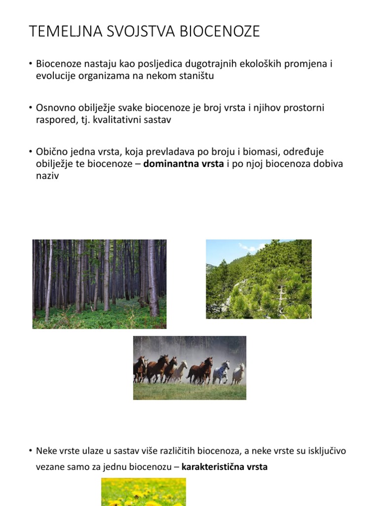 Temeljna Svojstva Biocenoze PDF | PDF