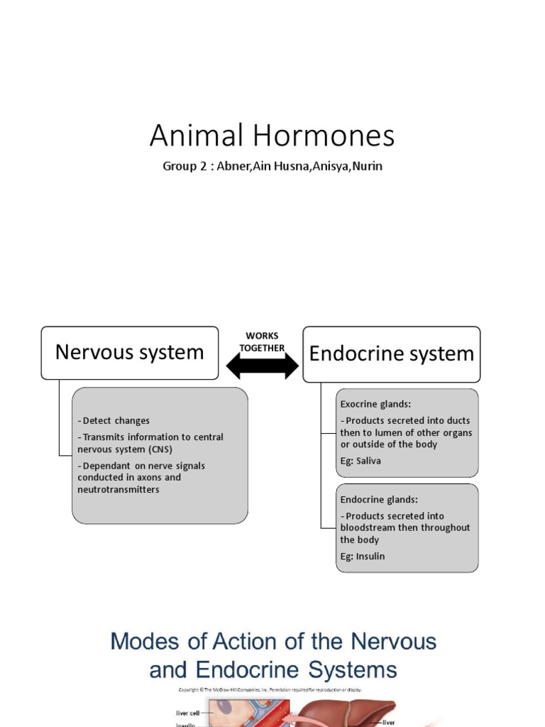 Animal Hormones PDF | PDF | Steroid Hormone | Hormone