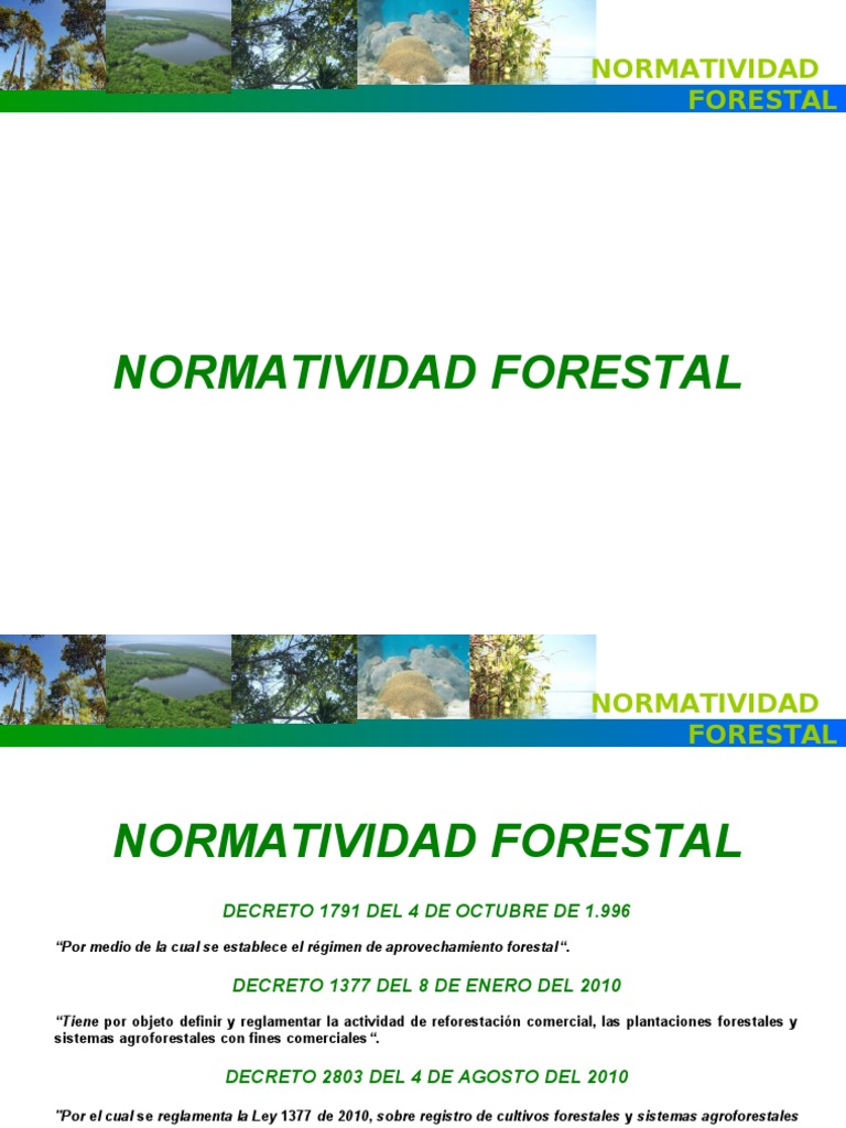 Normas y Usos Forestales | PDF | Los bosques | Sustentabilidad