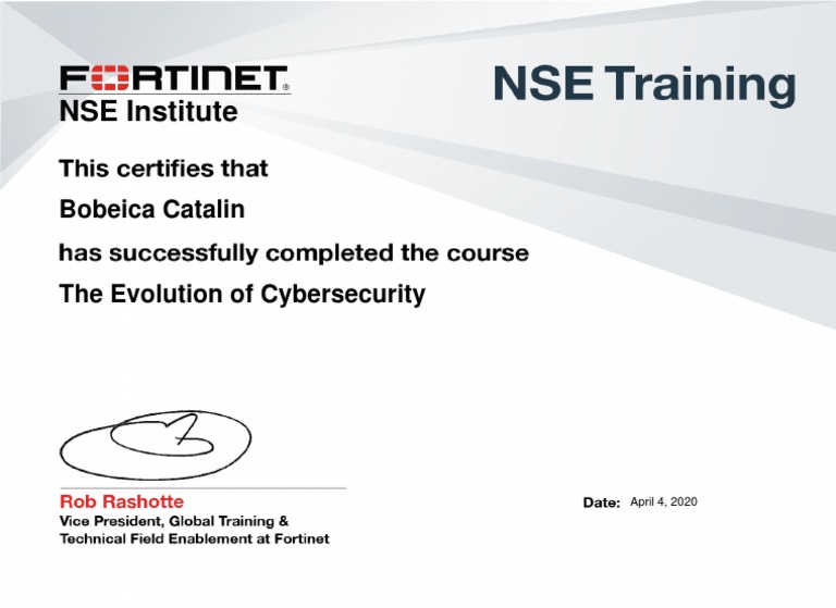 NSE Institute: Bobeica Catalin | PDF