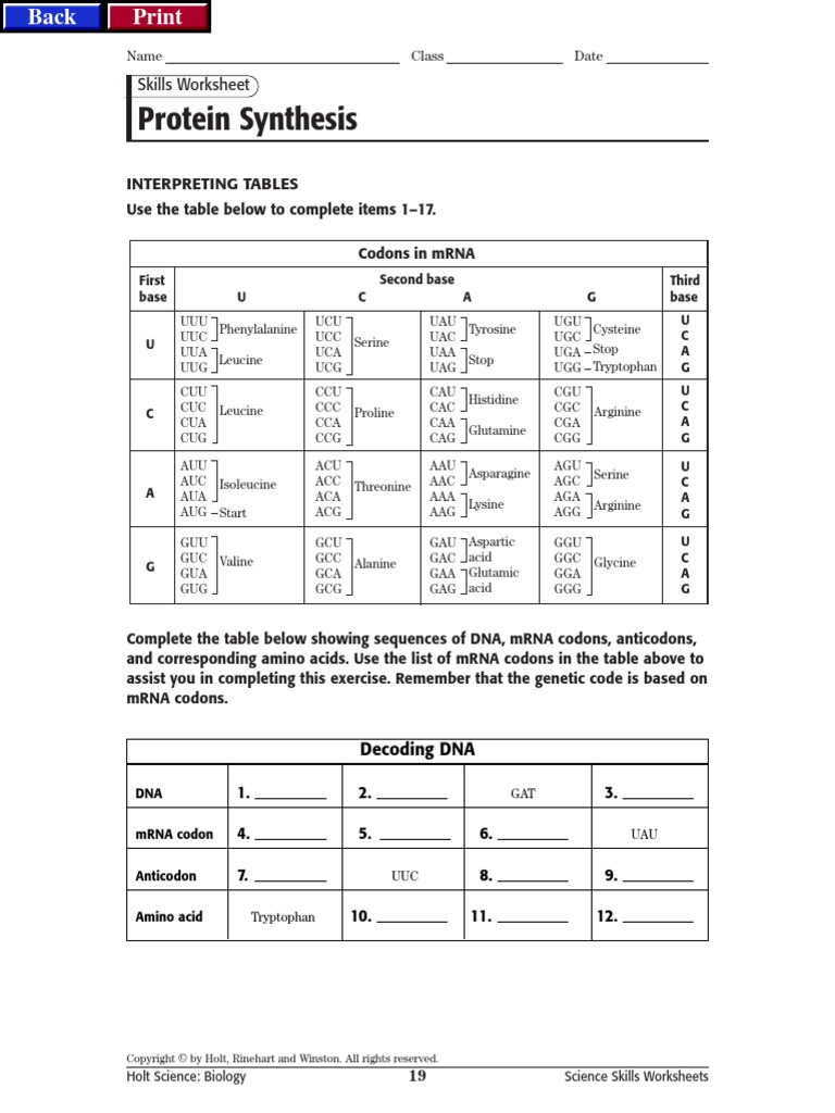 Sci Skill WKSHT | PDF | Genetic Code | Dna Sequencing