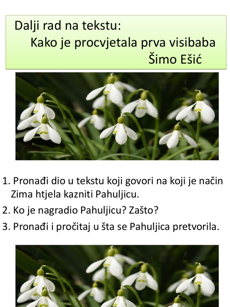 Visibaba PDF | PDF