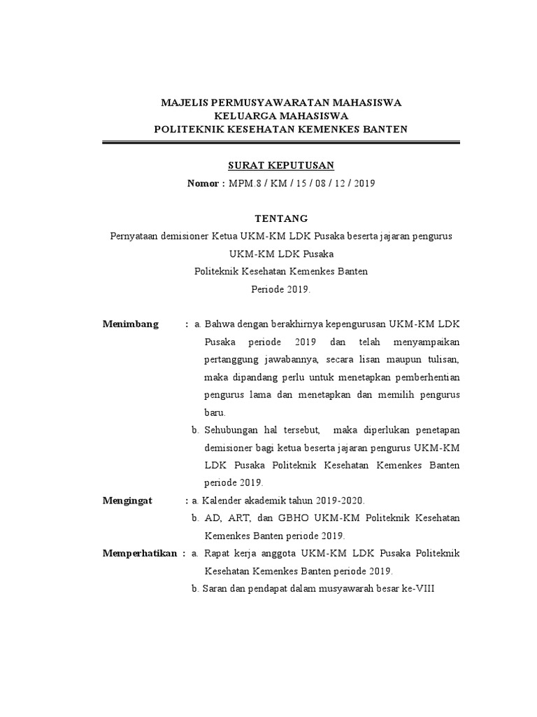 15 SK Demisioner LDK | PDF