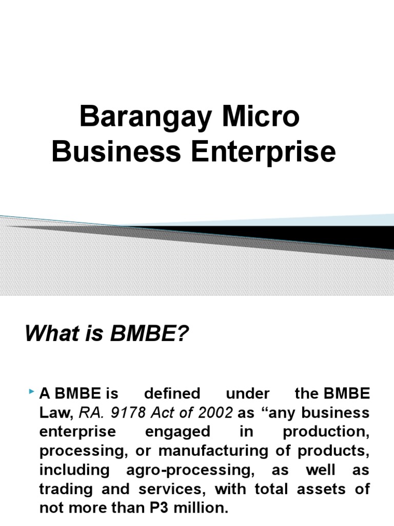 Barangay Micro Business Enterprise | PDF | Sole Proprietorship | Value ...
