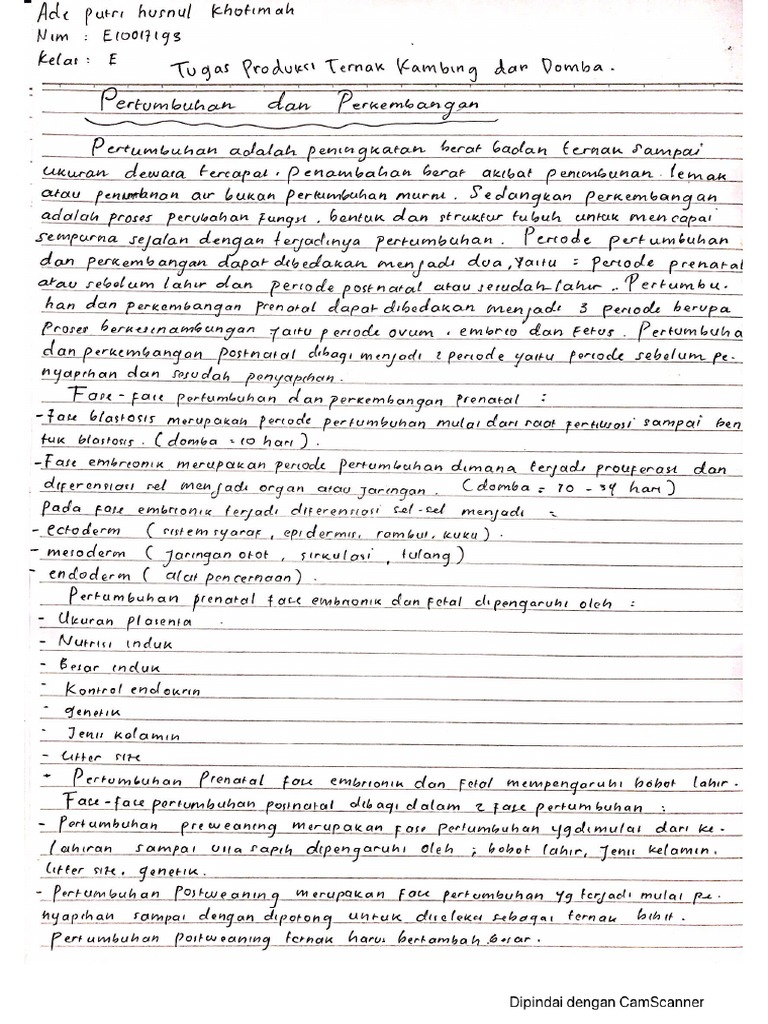 Ade Putri Husnul Khotimah (E10017193) | PDF