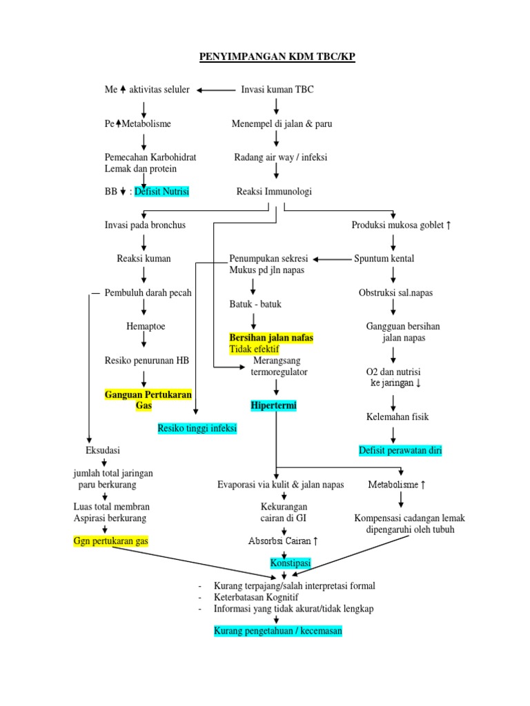 Pathway TBC Paru dan Dampaknya | PDF