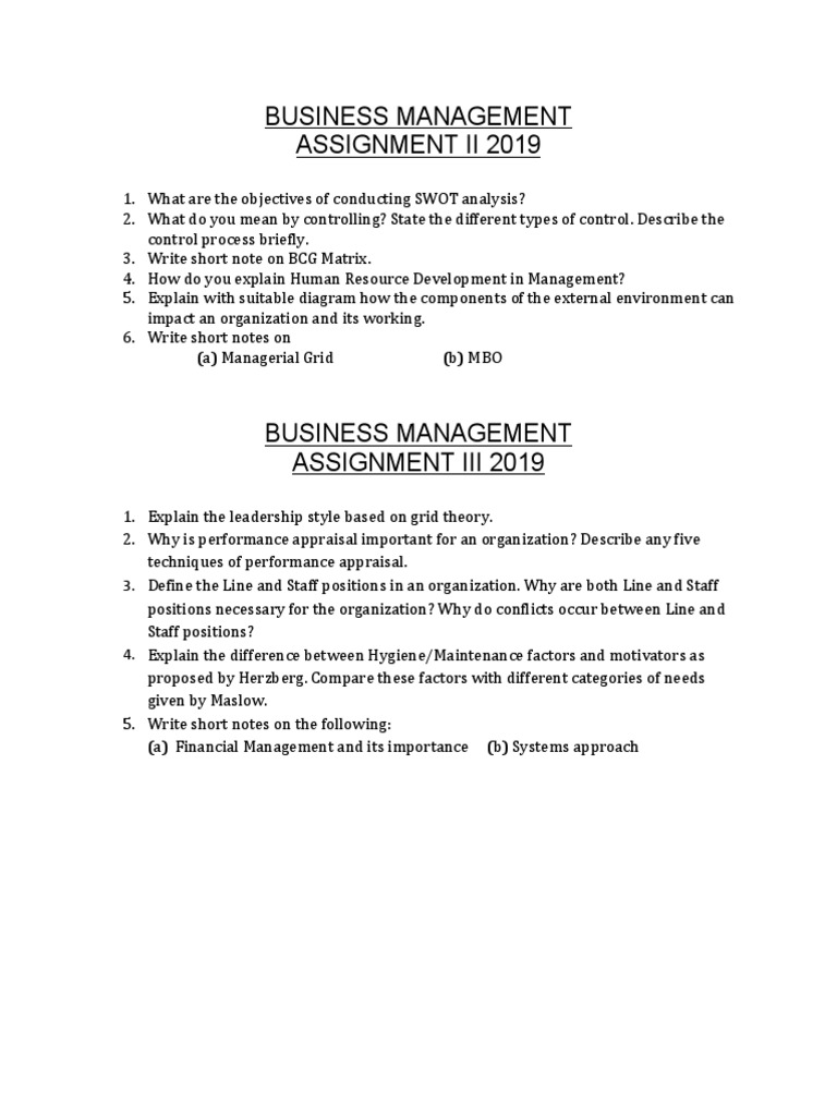 Business Management Assignment Insights | PDF