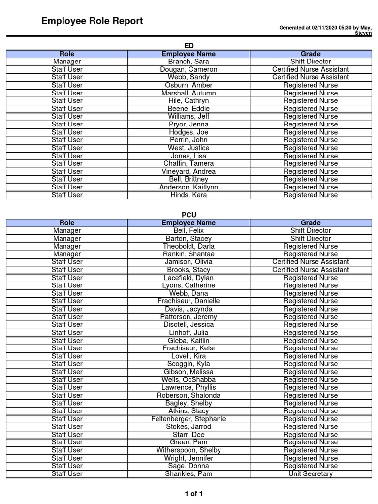 Access Level Report | Download Free PDF | Nursing | Health Care