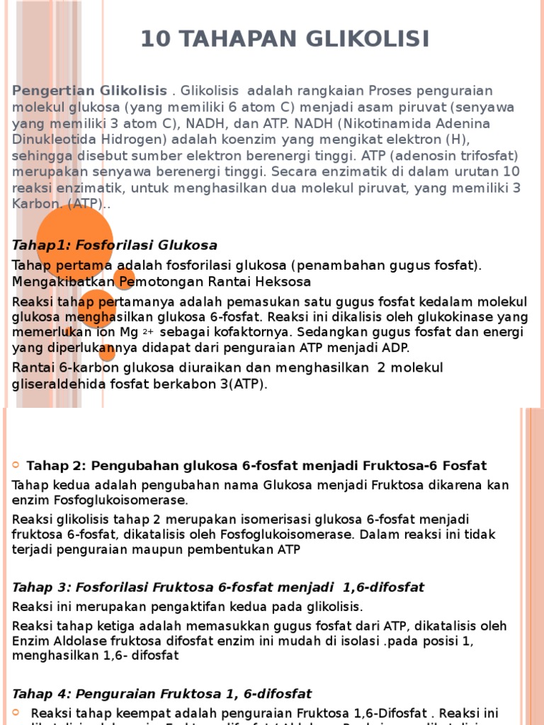 10 Tahapan Proses Glikolisis | PDF