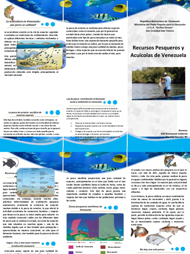 Triptico/Folleto Sobre Los Recursos Pesqueros y Acuicolas en Venezuela | PDF | Acuicultura ...