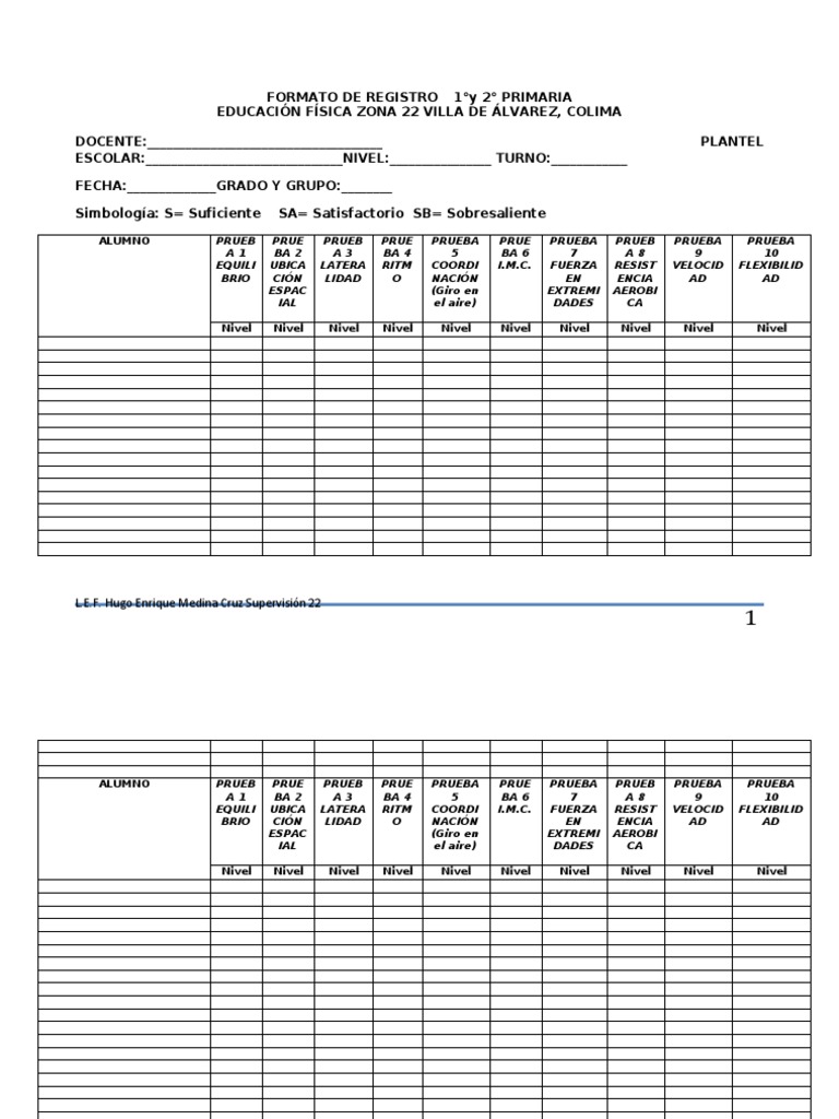 Formato de Registro 1° y 2° | PDF