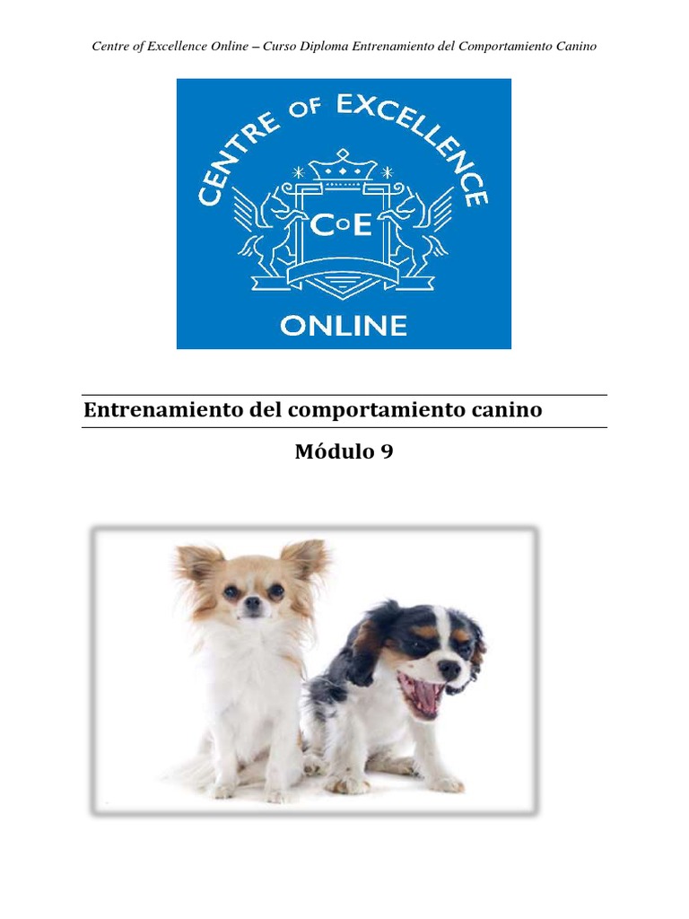 Comportamiento Canino - Módulo 9 | PDF | Perros | Comportamiento