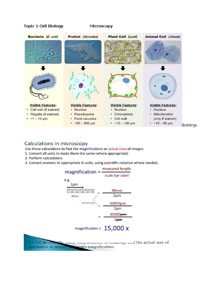 Topic 1 Cell Biology Micros | PDF