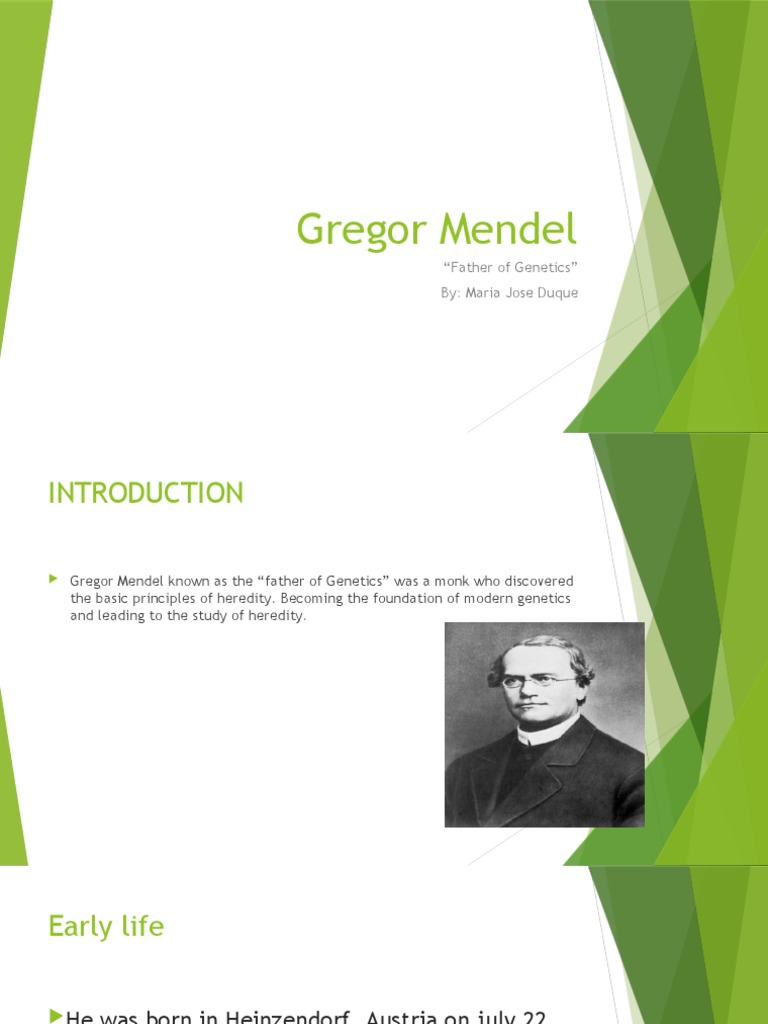Gregor Mendel: "Father of Genetics" By: Maria Jose Duque | PDF