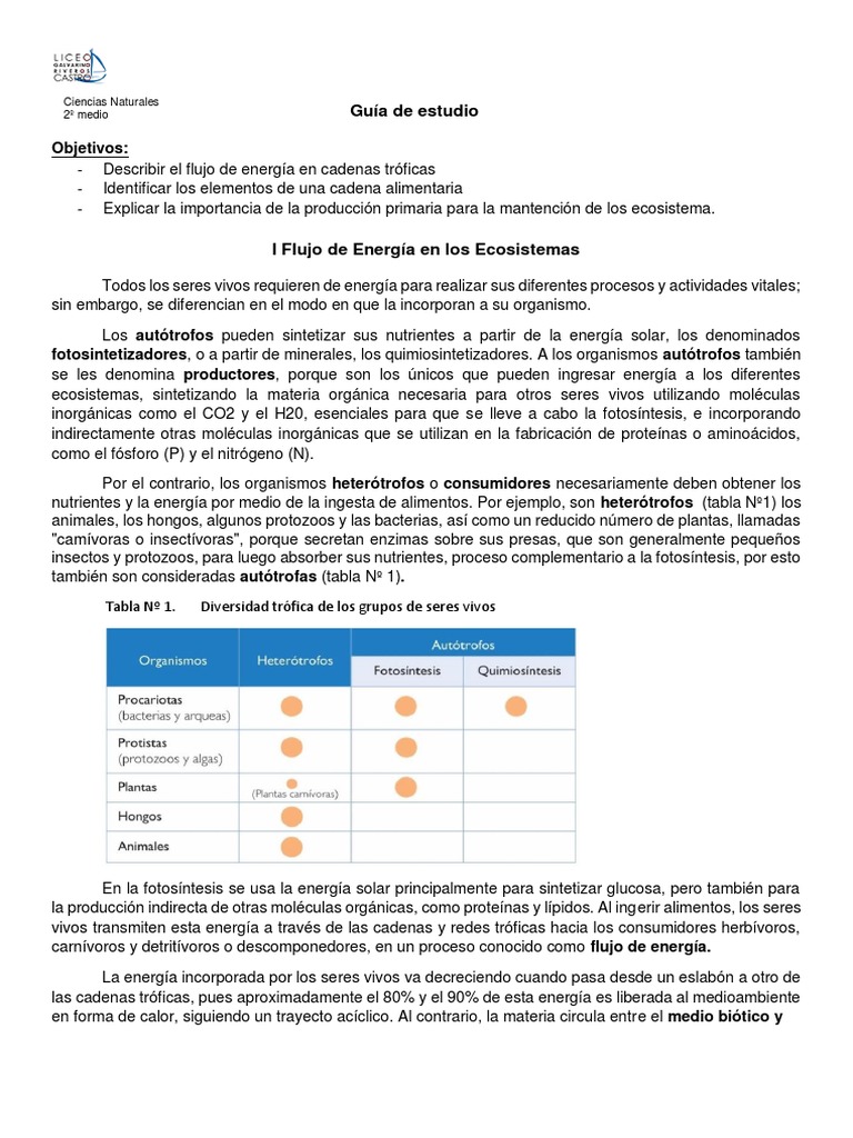 Guía 1 Biología Flujos de Energía 2° Medio | PDF | Organismos | Nutrientes