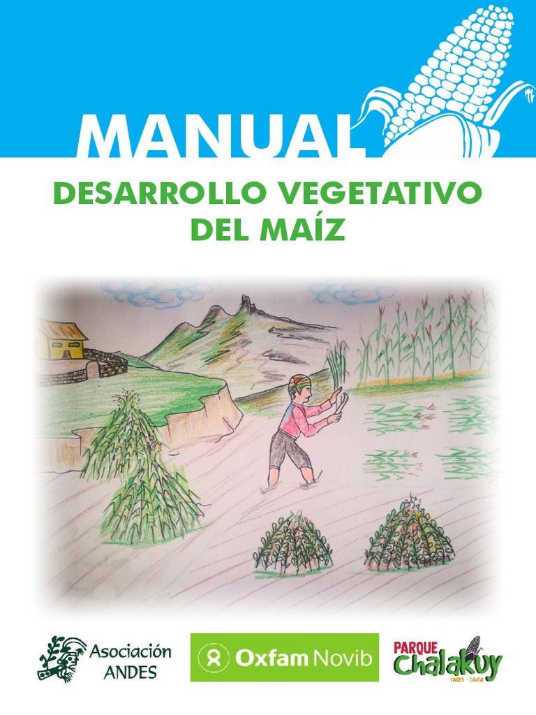 Manual Ciclo Del Maiz PDF | PDF | Tallo de la planta | Flores