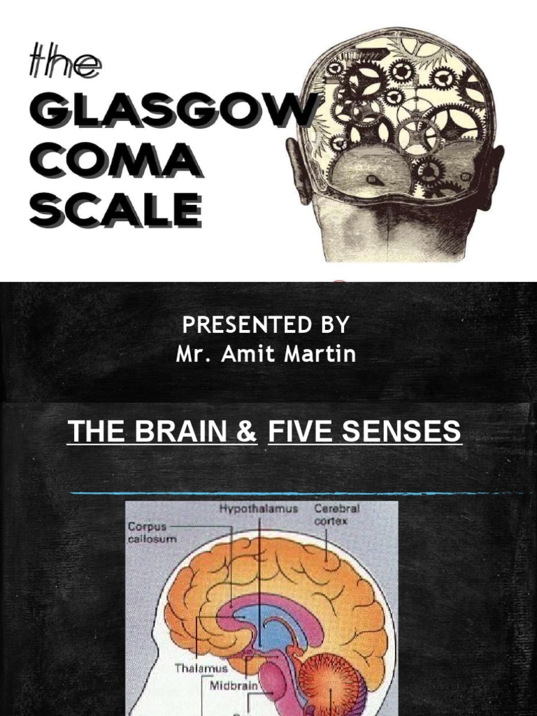 Glasgow Coma Scale: Presented by Mr. Amit Martin | PDF | Brainstem | Cerebral Hemisphere
