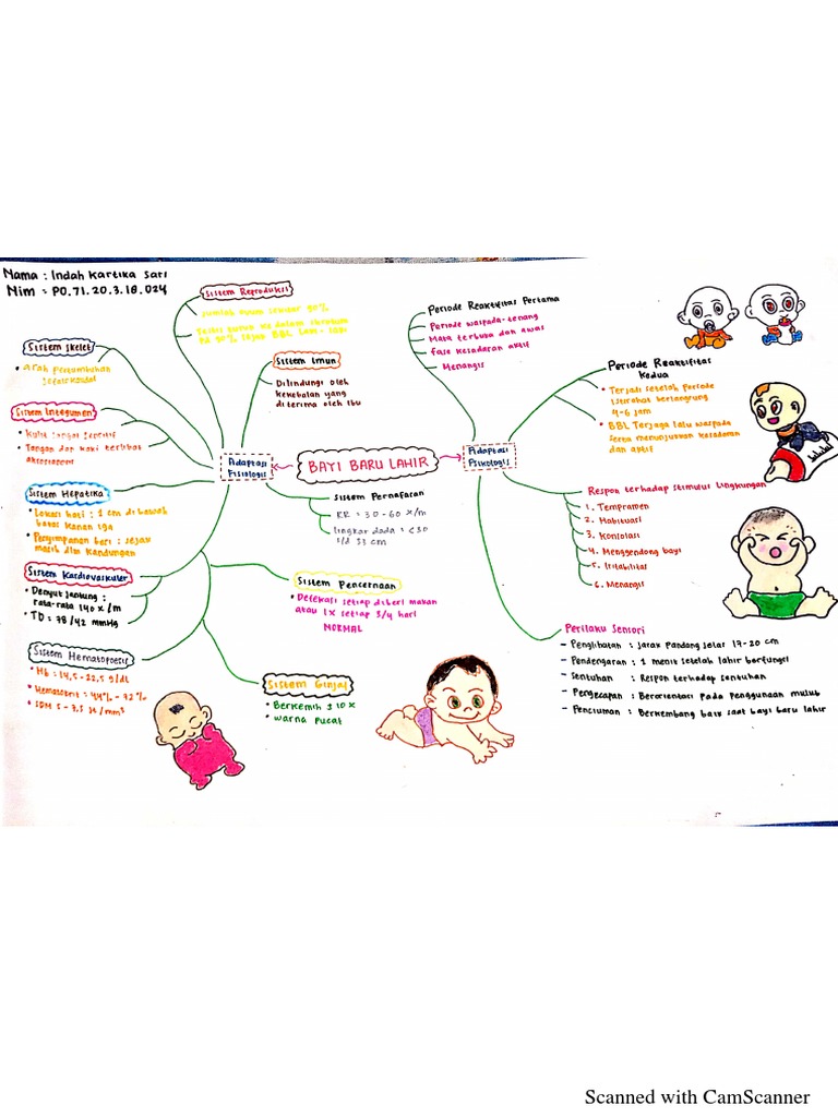 Mind Mapping BBLR | PDF