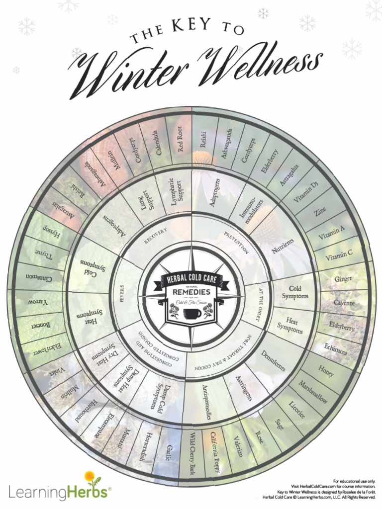 Key To Winter Wellness Pack PDF | PDF | Vitamin C | Ginger
