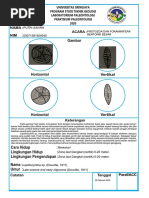 Pengertian Dan Tekstur Batuan Sedimen Klastik | PDF | Griya & Taman ...