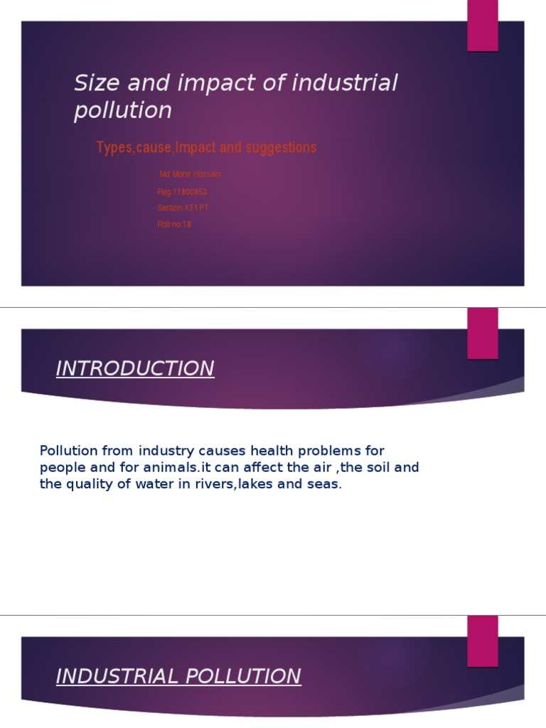 Size and Impact of Industrial Pollution | PDF | Air Pollution | Pollution