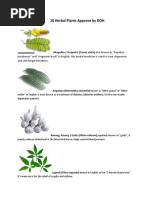 Akapulko: Herbal Uses and Preparations | PDF | Herbalism | Tea