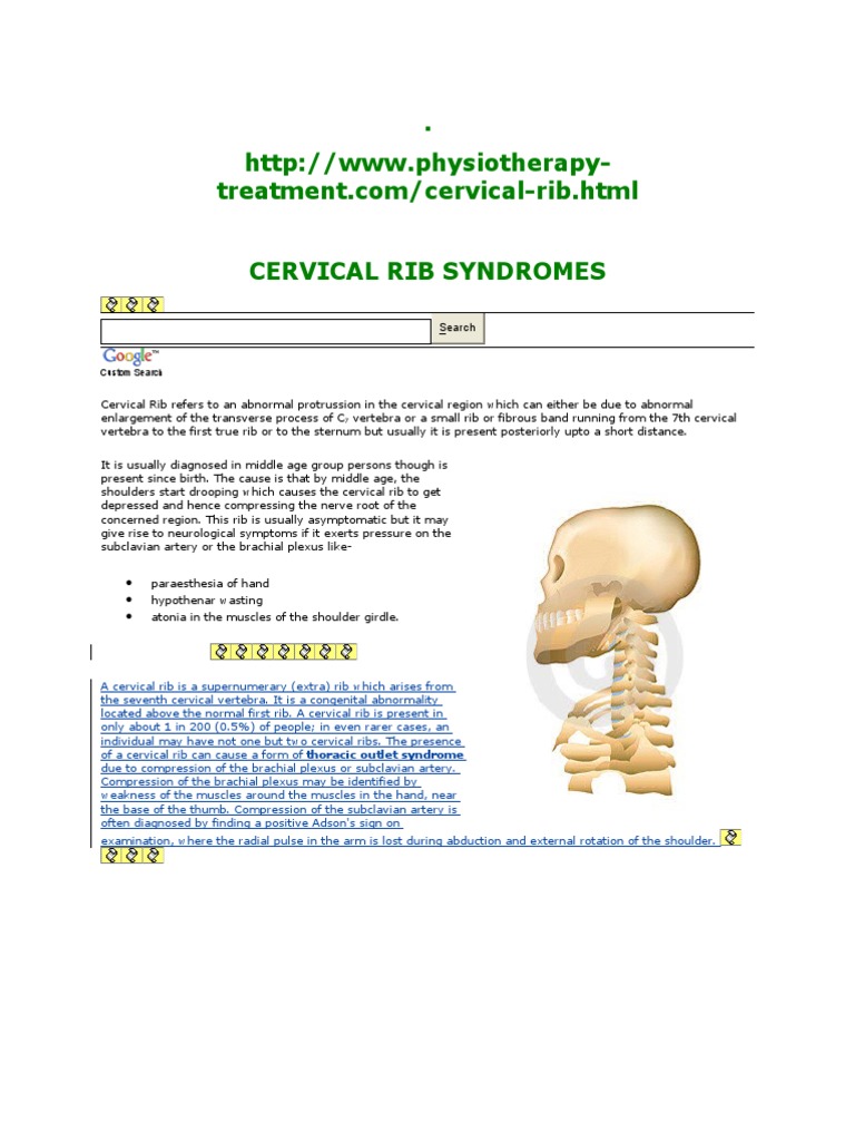 Cervical Ribs | PDF | Human Anatomy | Medicine