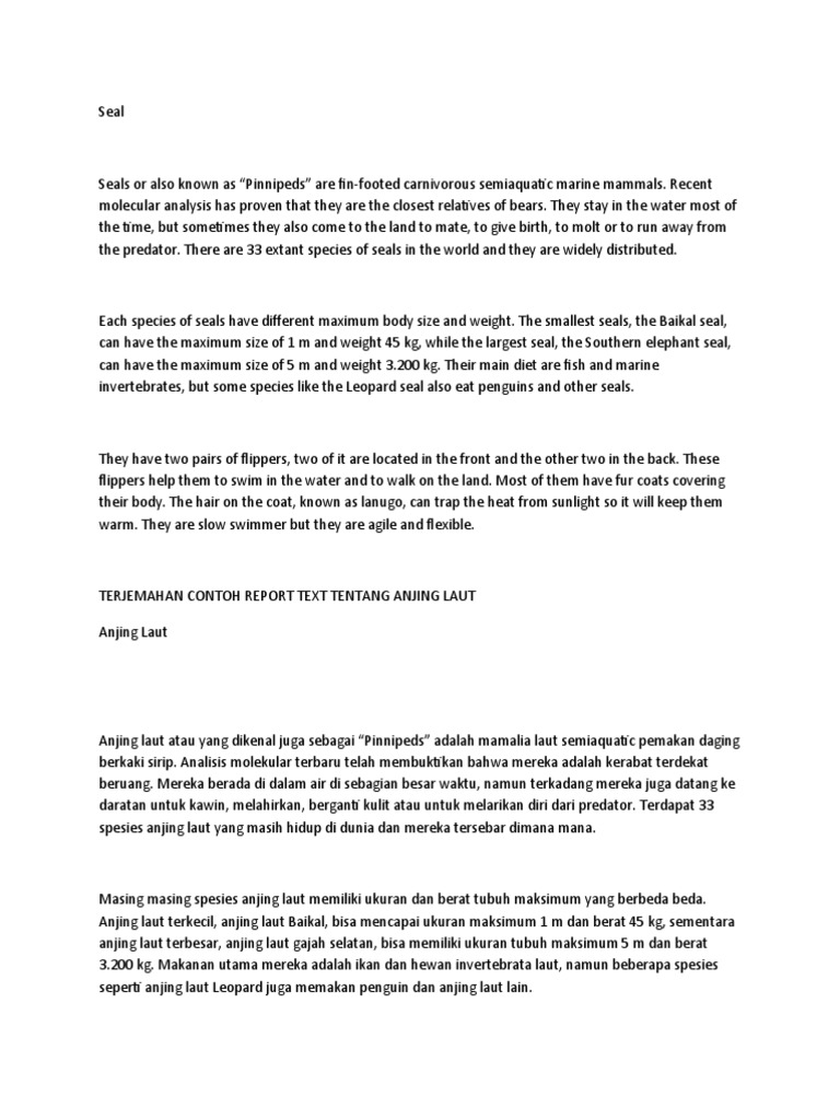 Factual Report | PDF