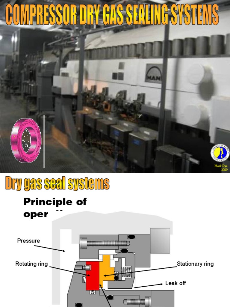 Dry Gas Seal Operation and Maintenance Guide | PDF | Valve | Bearing ...