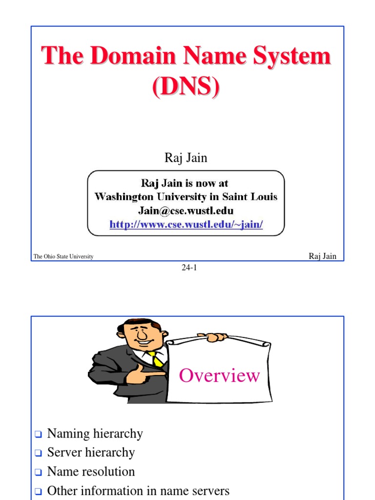 The Domain Name System (DNS) | PDF | Domain Name System | Domain Name