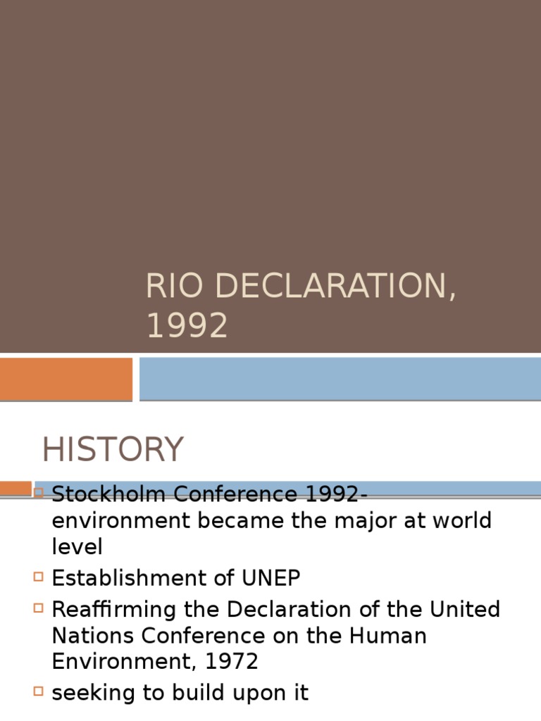 Overview of the 1992 Rio Declaration | PDF | Sustainability ...