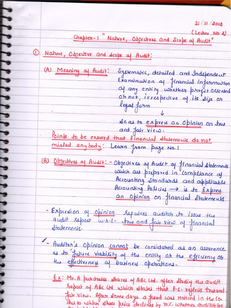 Audit Handwritten Notes by Pankaj Garg | PDF