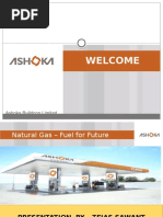 PNGRB Guidelines Overview | PDF | Natural Gas | Pipeline Transport