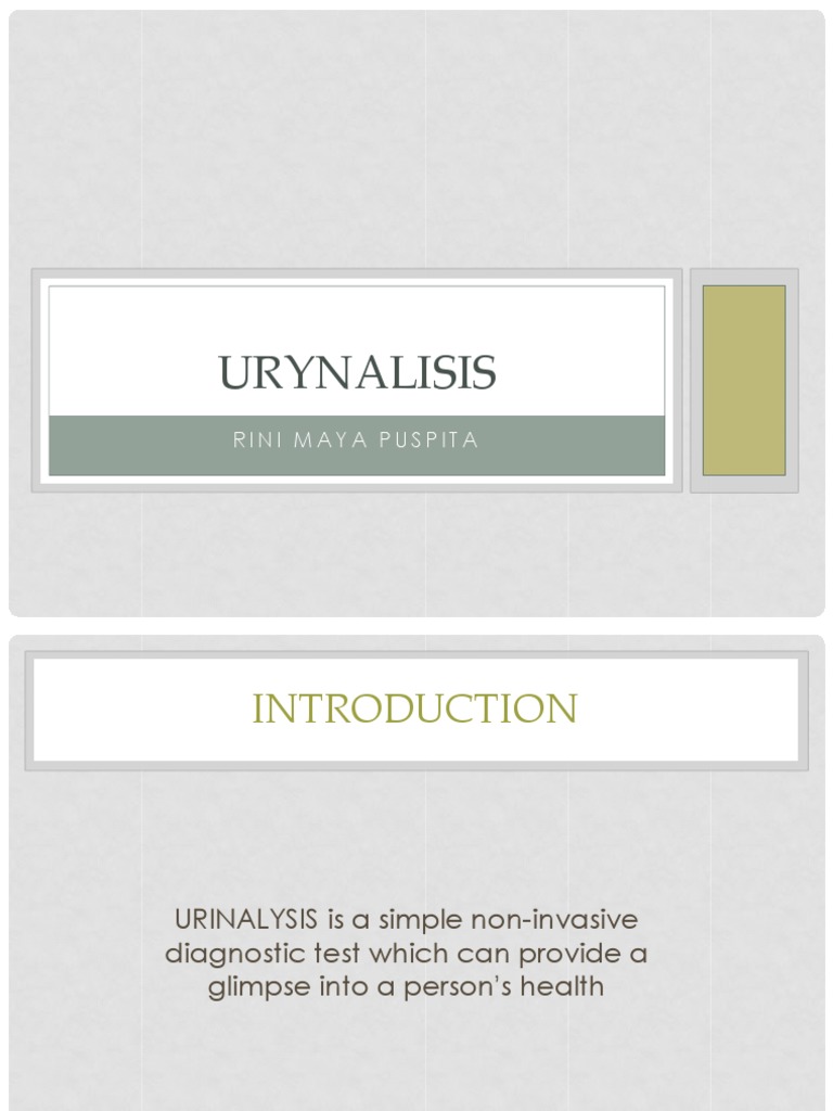 Urinalysis PDF | PDF | Kidney | Urine