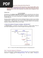 Biosynthesis of Carbohydrates | PDF | Metabolic Pathway | Pyruvic Acid